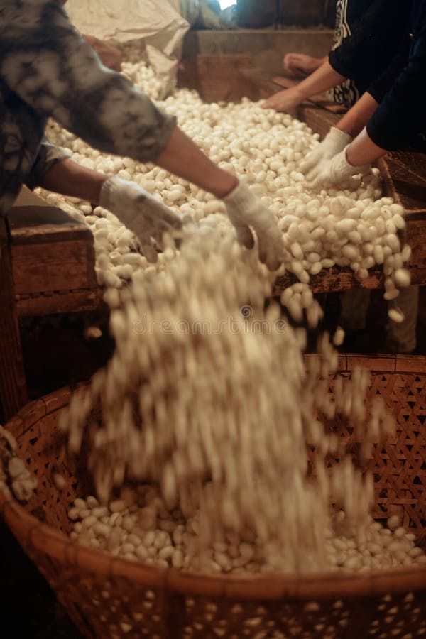 Acquisition cocoon editorial photo. Image of manufacturing - 55722891