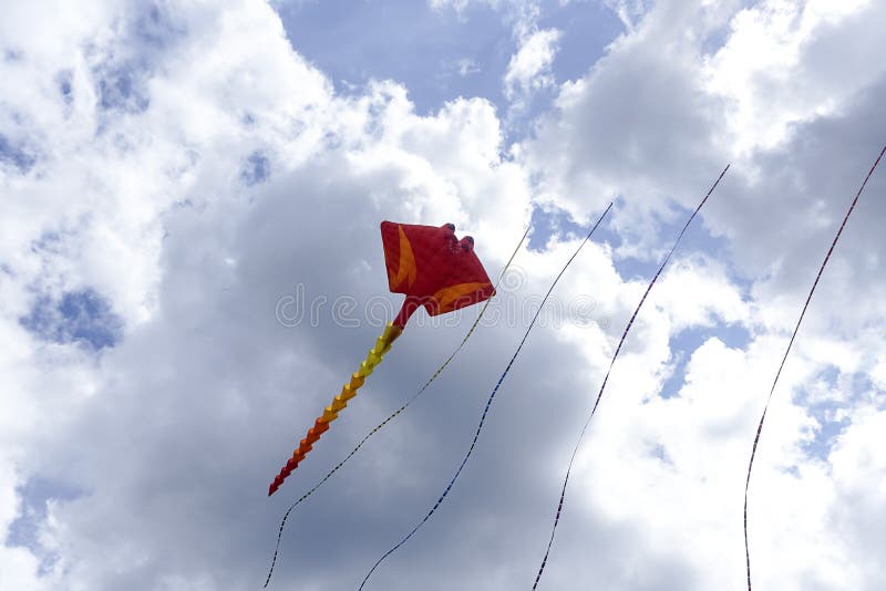 Acramp Fish Stock Photos - Free & Royalty-Free Stock Photos from Dreamstime