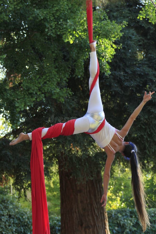 Acrobat Doing Moves in a Park Stock Photo - Image of italy, hanging ...