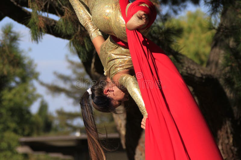 Acrobat Doing Moves in a Park Stock Image - Image of italian, italy ...