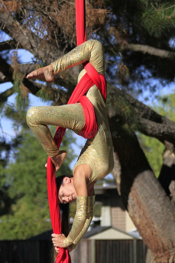 Acrobat Doing Moves in a Park Stock Photo - Image of poses, ropes ...