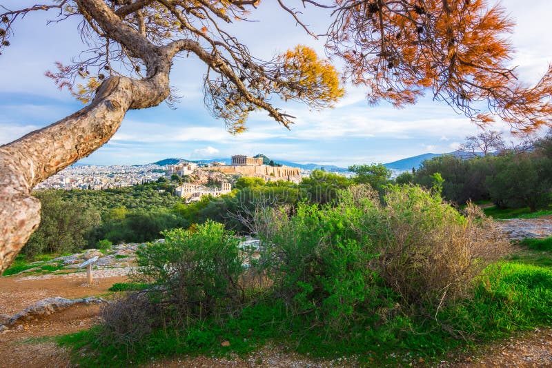 Acropolis with Parthenon. View through a Frame with Green Plants, Trees ...