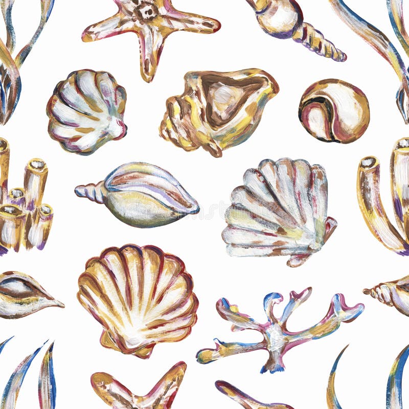 Acrylic Hand Painted Sea Shells Illustration Set, Graphic Shells ...