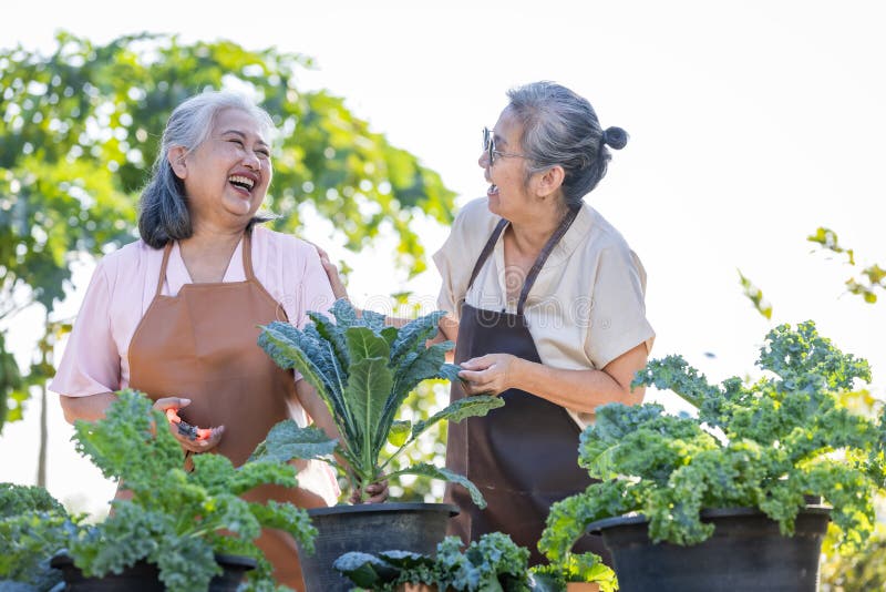 Senior Woman and Mature Woman in Garden.Emotional Well-being Stock ...