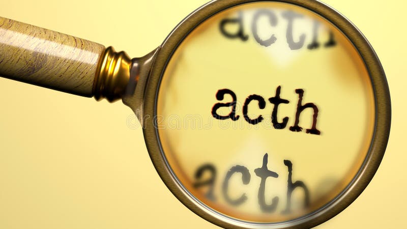 Acth Under Magnifying Glass Thorough Analysis Inspection Stock Photos ...