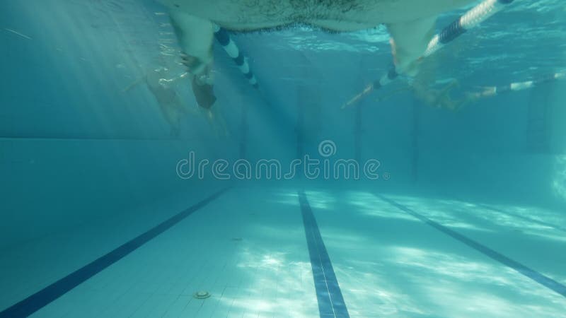 ACTION CAM: Man is Diving in a Swimming Pool Stock Video - Video of ...