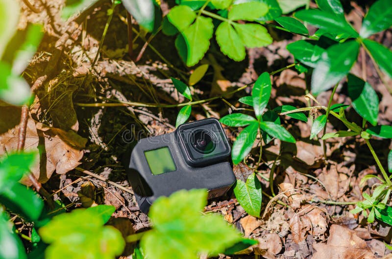 Action Camera on the Ground in the Grass among the Leaves Stock Image ...