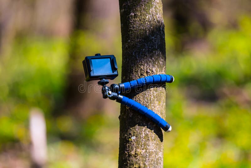 Action Camera Mounted on a Tree Stock Photo - Image of landscape ...