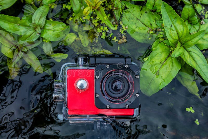 Action Camera in the Water in a Protected Waterproof Case Stock Image ...