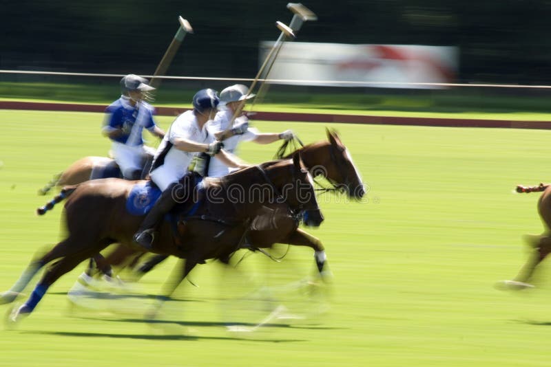 Action Shot of a Polo Match Stock Photo - Image of class, ball: 1216104