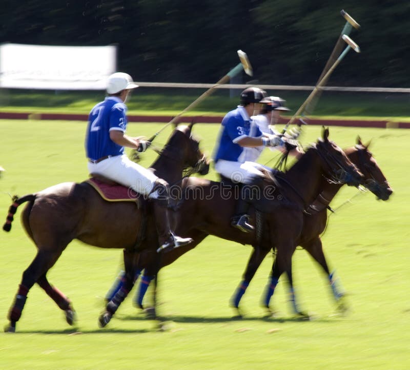 Action Shot of a Polo Match Stock Image - Image of events, green: 1925807
