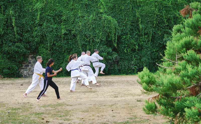 Action Shot of Students Learning Various Karate Moves in a Park in ...