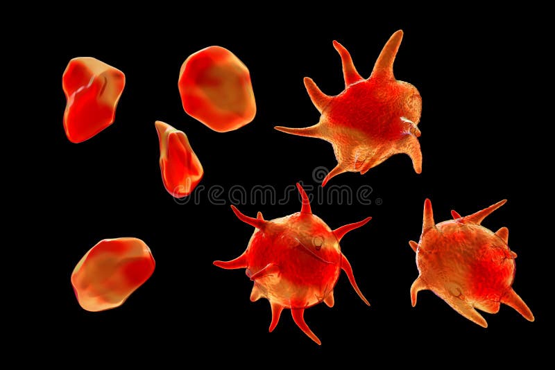 Inactivated Platelets Stock Illustrations – 13 Inactivated Platelets ...