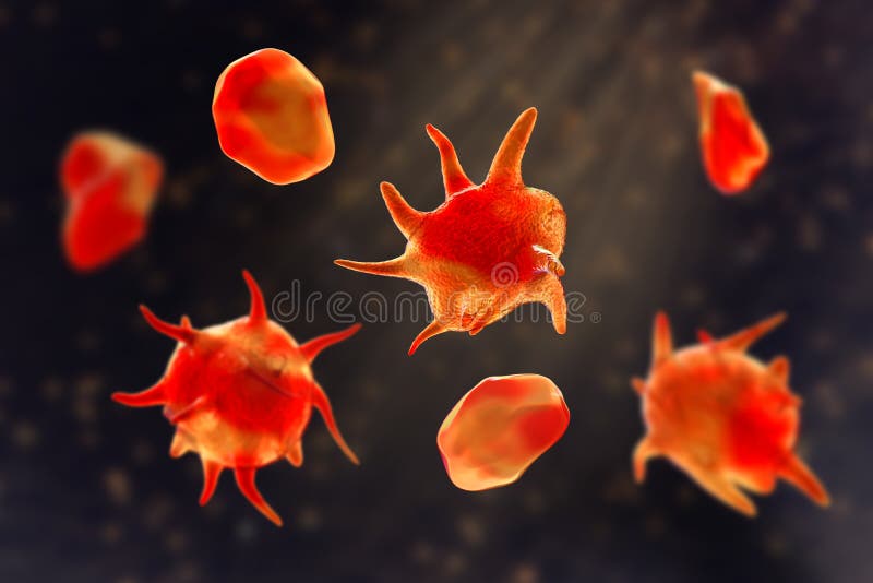 Inactivated Platelets Stock Illustrations – 13 Inactivated Platelets ...