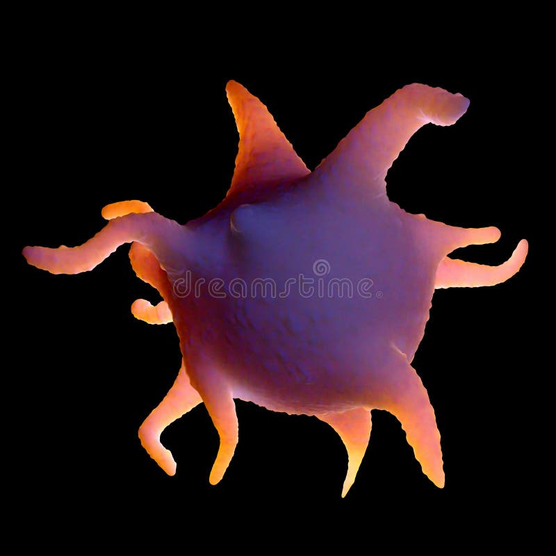 An activated platelet stock illustration. Illustration of bloodstain ...