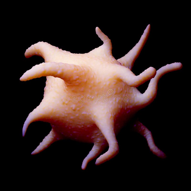 An activated platelet stock illustration. Illustration of injury ...