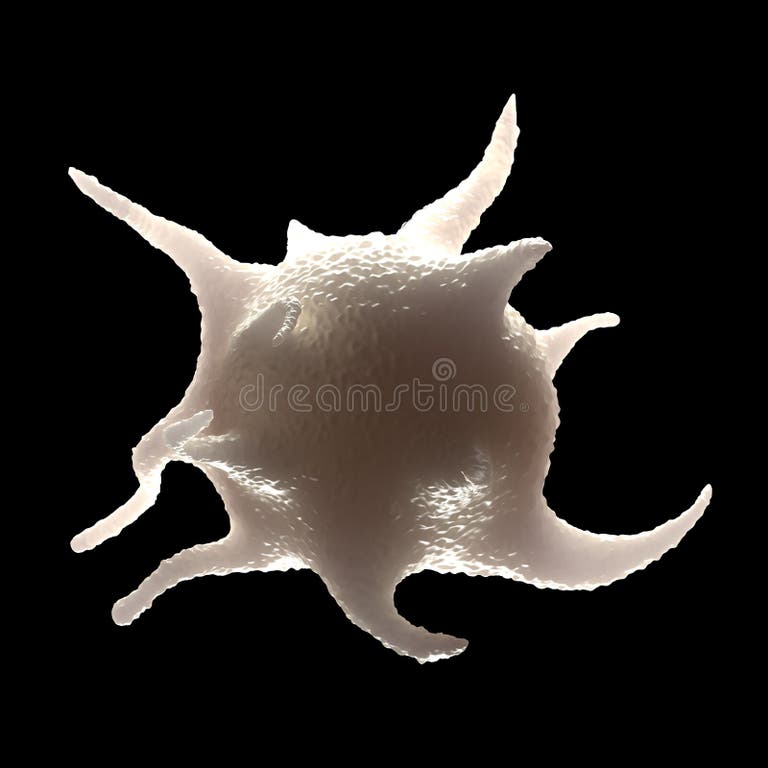 Platelets Stock Illustrations – 3,808 Platelets Stock Illustrations ...