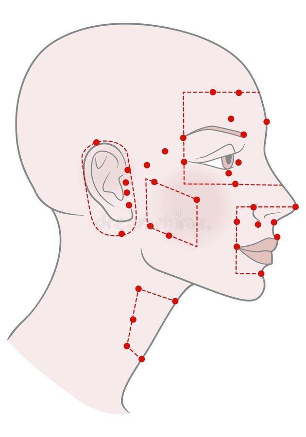 Acupuncture Points Face Stock Illustrations – 135 Acupuncture Points ...