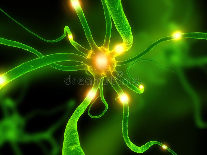 Active Axon stock illustration. Illustration of brain - 2462694
