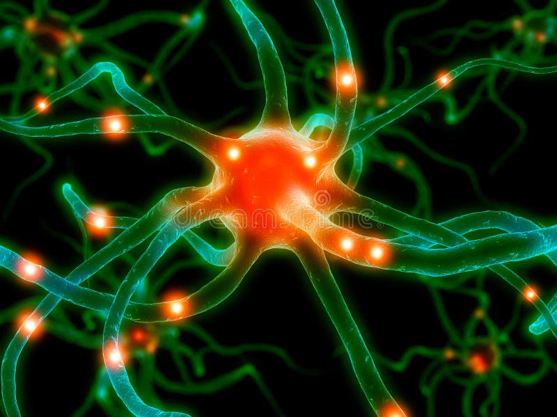 Active axon stock illustration. Illustration of nerve - 2869966