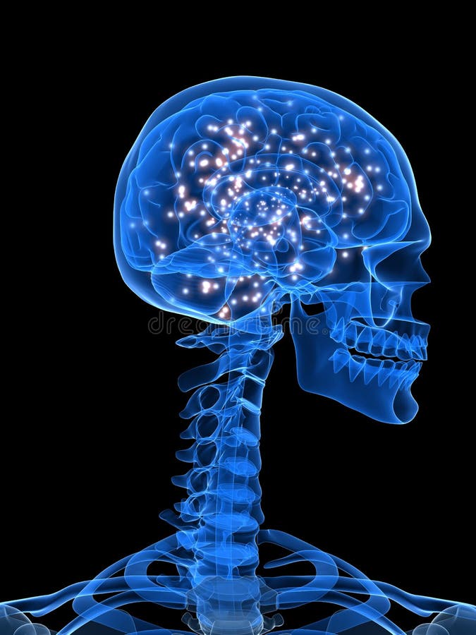 Active brain stock illustration. Illustration of knowledge - 14136984