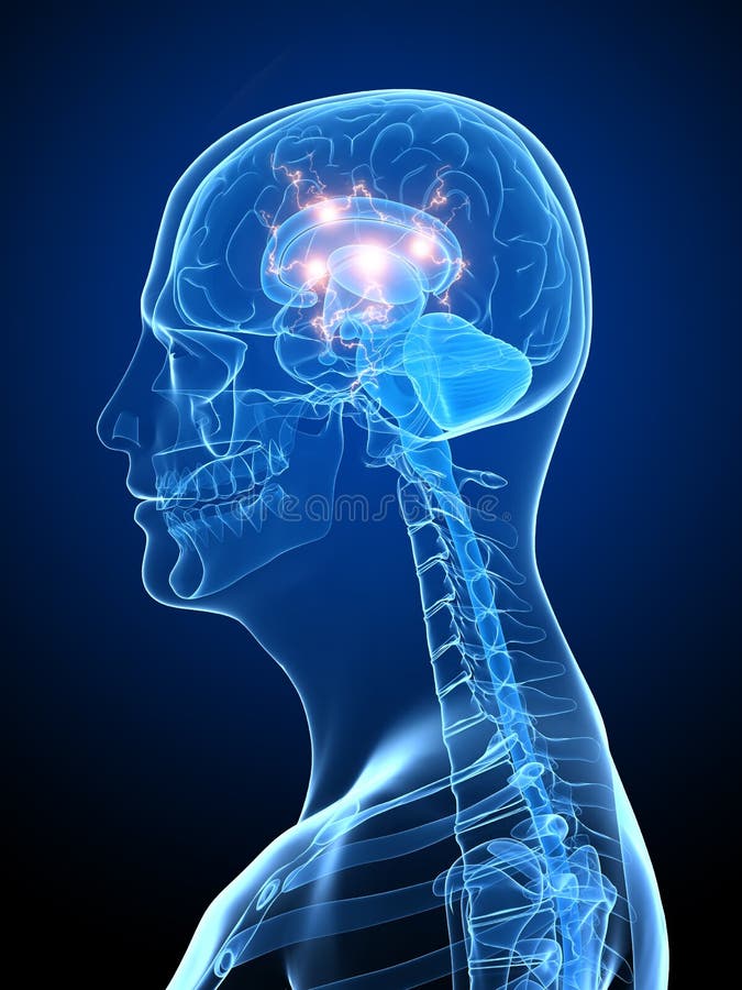 Active brain cell stock illustration. Illustration of synapse - 2579870