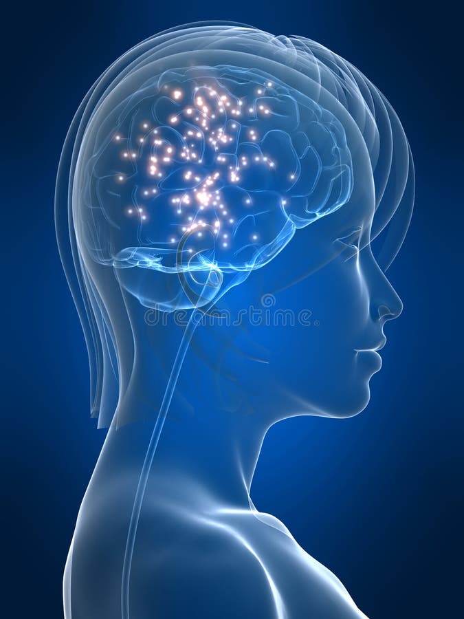 Active brain cell stock illustration. Illustration of synapse - 2579870