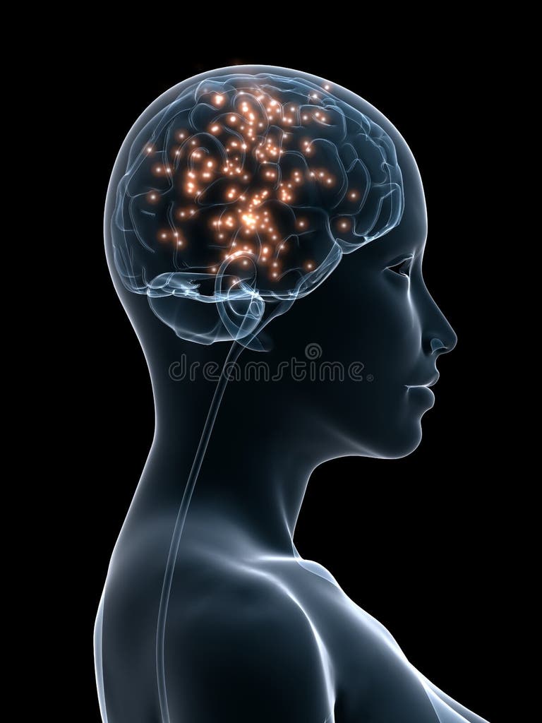 Active Brain Stock Illustrations – 3,187 Active Brain Stock ...