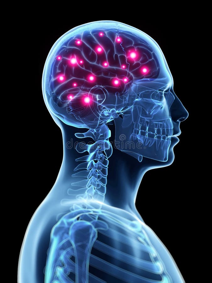 Active brain stock illustration. Illustration of megrim - 30723893