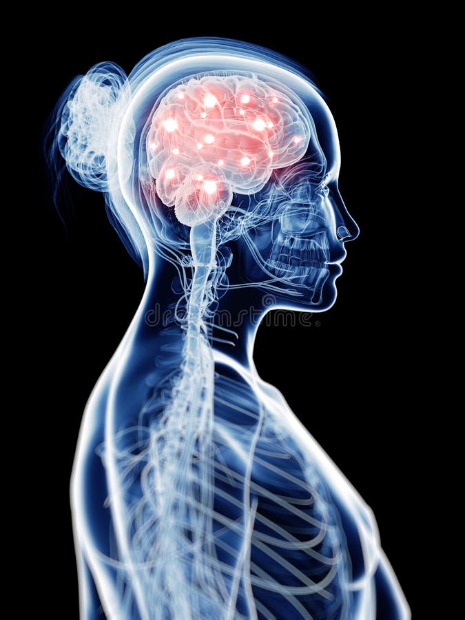 Active brain cell stock illustration. Illustration of synapse - 2579870