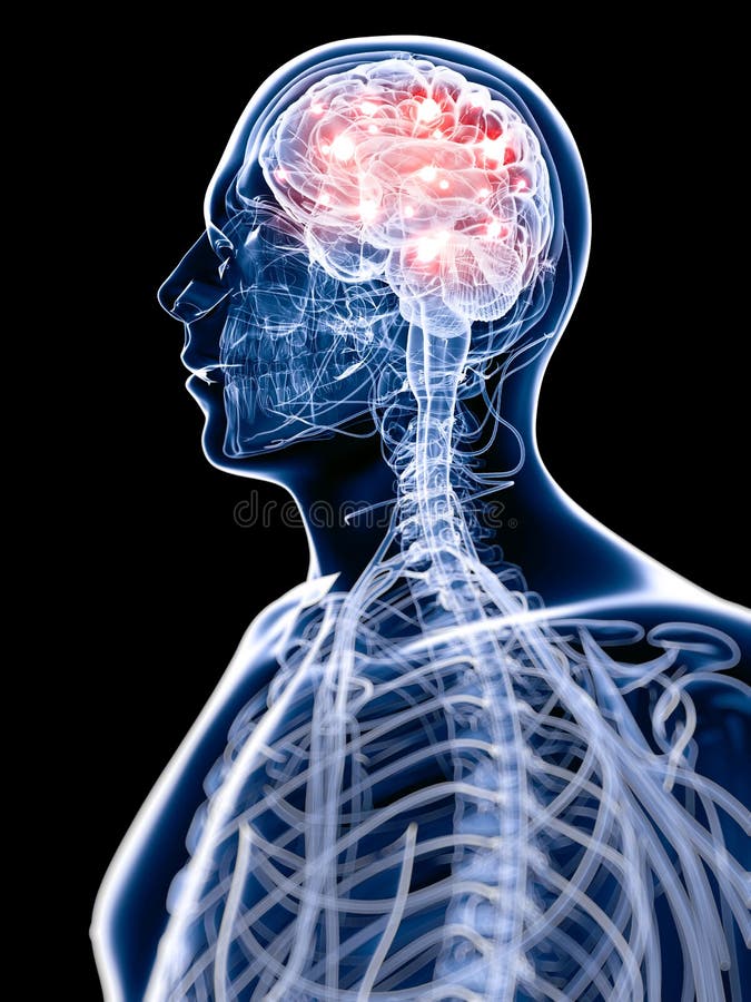 Active brain cell stock illustration. Illustration of synapse - 2579870