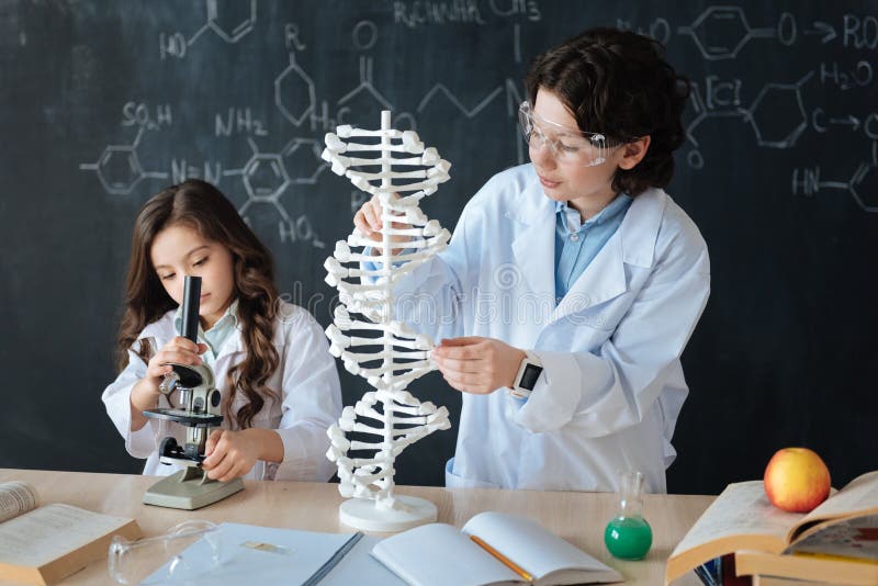 Active Children Studying Bioengineering at School Stock Photo - Image ...
