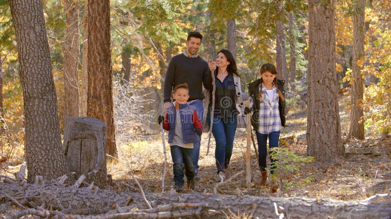 Active Family Outdoors Enjoying Autumn or Fall Walk in Forest Together ...