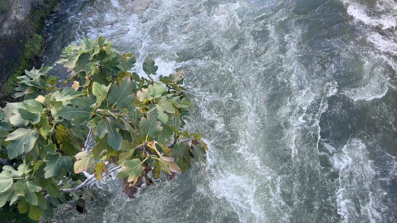 Active Flow of Water in the Channel after Rain. View from Above Stock ...