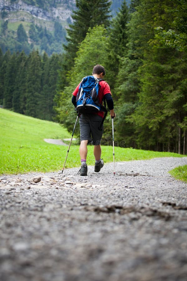 Active Handsome Young Man Nordic Walking Stock Photo - Image of outfit ...