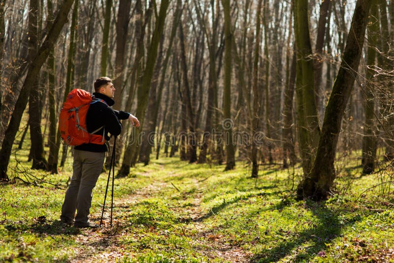 Active Healthy Man Hiking in Beautiful Forest Stock Photo - Image of ...
