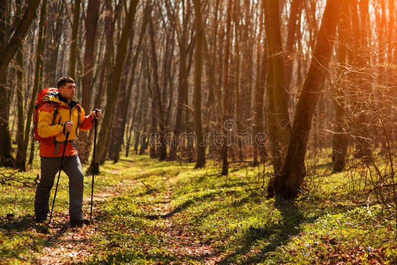 Active Healthy Man Hiking in Beautiful Forest Stock Photo - Image of ...