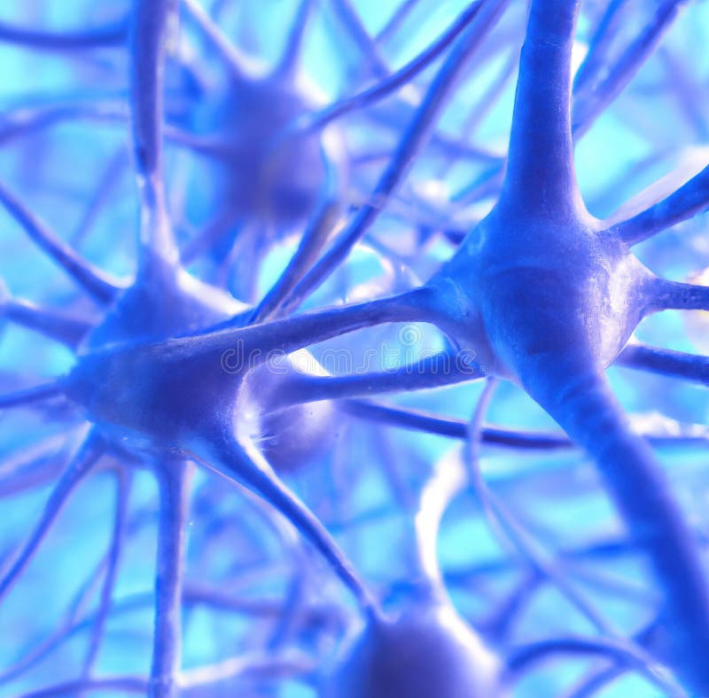 Human Nerve Cells Illustration Stock Illustration - Illustration of ...