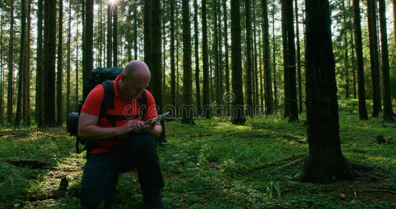Active Man Hiker Navigate Using Map and Compass in Beautiful Forest at ...