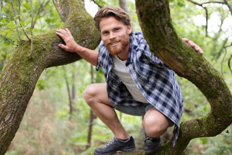 Active man up in tree stock image. Image of adult, nature - 250115715
