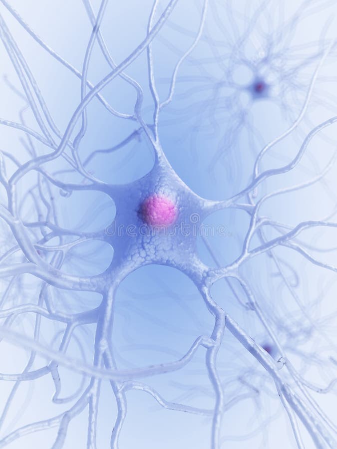 Active nerve cell stock illustration. Illustration of receptor - 15978606