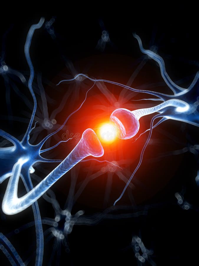 Active Neurone stock illustration. Illustration of biological - 2260834