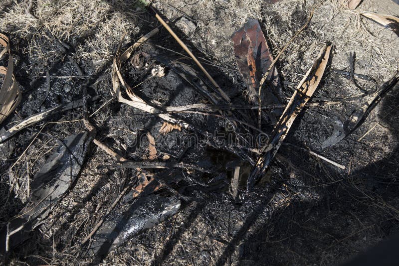 Active oil seep stock photo. Image of asphalt, petrolium - 129886392