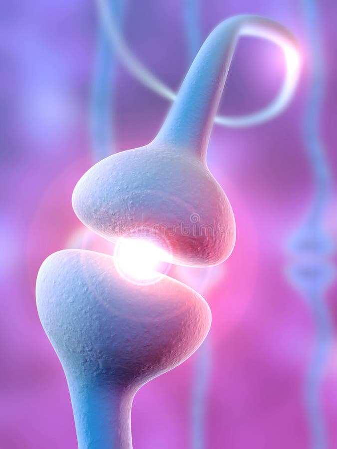 Receptor stock illustration. Illustration of nerve, receptor - 1151646