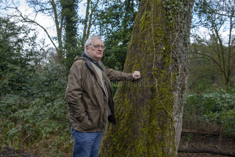 Active Senior Man Walking Outdoors in the Woods, Resting on a Tree ...