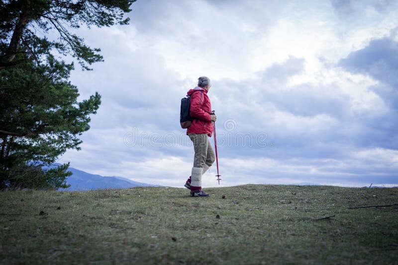 Active Senior Woman Happy Hanging from Tree in Forest Stock Photo ...