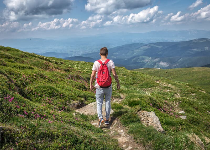 Tourist Backpacker Traveler with a Green Backpack Goes Alone on a ...