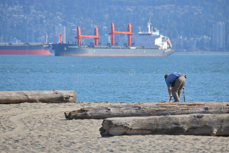 Active Use of a Metal Detector Stock Image - Image of searching ...
