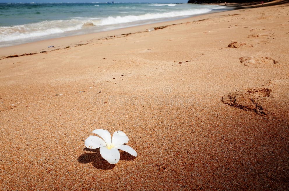 Active wave. stock image. Image of waves, lonely, active - 78453205