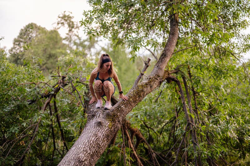An Active Woman Exercises in a Park, Using a Tree for Strength and ...